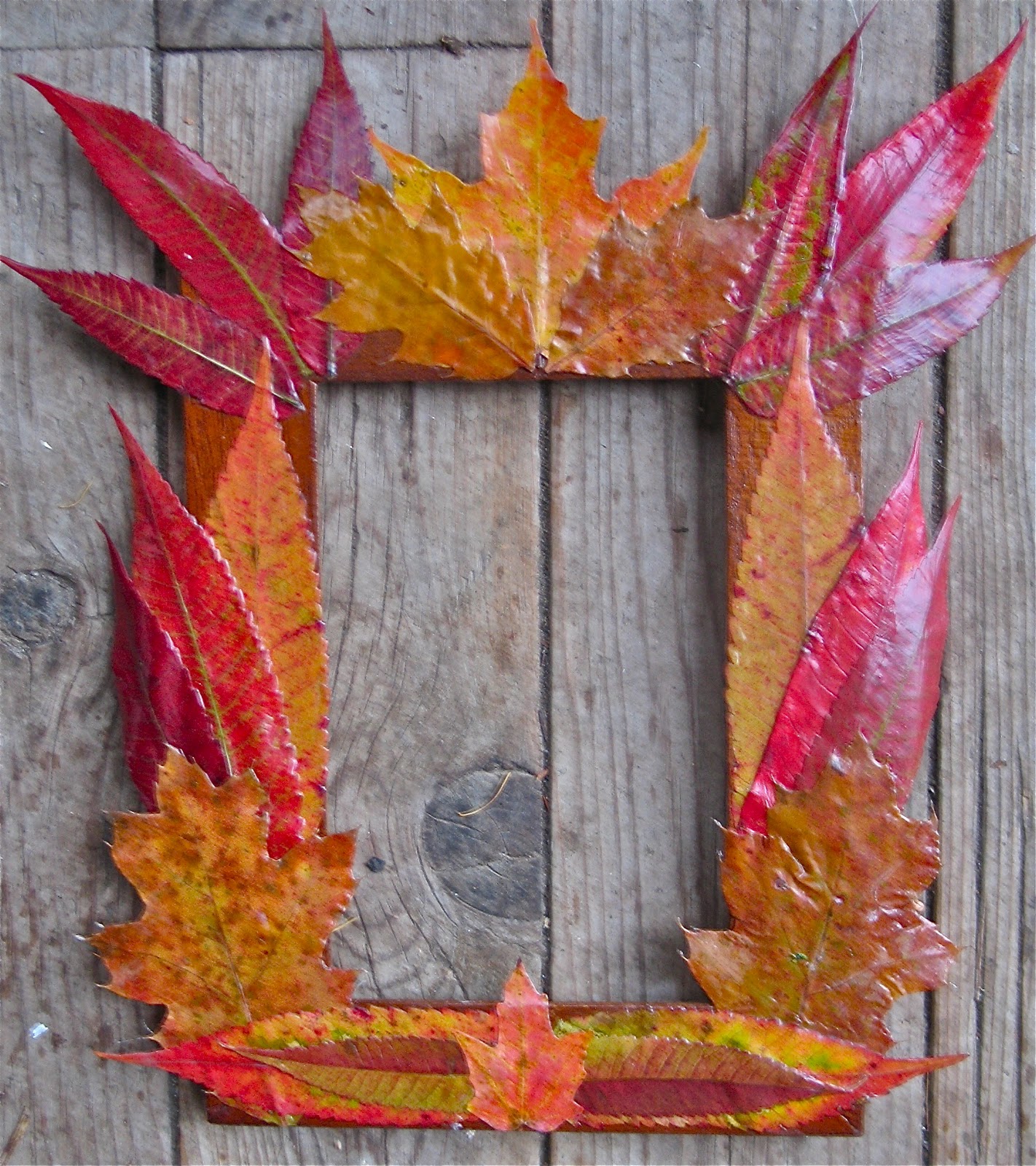 Twig and Toadstool: Fall Foliage Frames!
