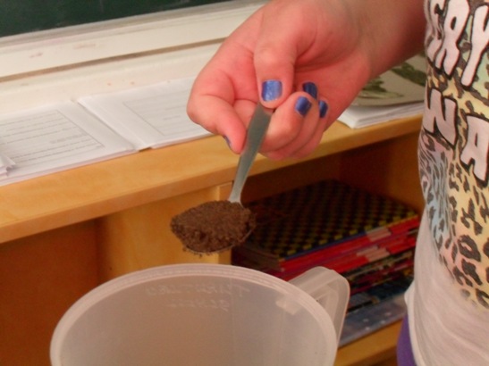Room 2 - Turuturu School: Dissolving Salt, Sugar and Sand in Water.