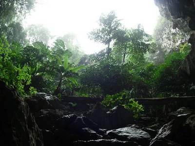 ECOSISTEMAS: BOSQUES TROPICALES MONZONICOS