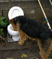 Ultra-Gross: More Gross Dog Jokes, Please