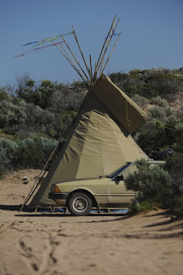 Harvie's Adventures: cactus Beach S.A.