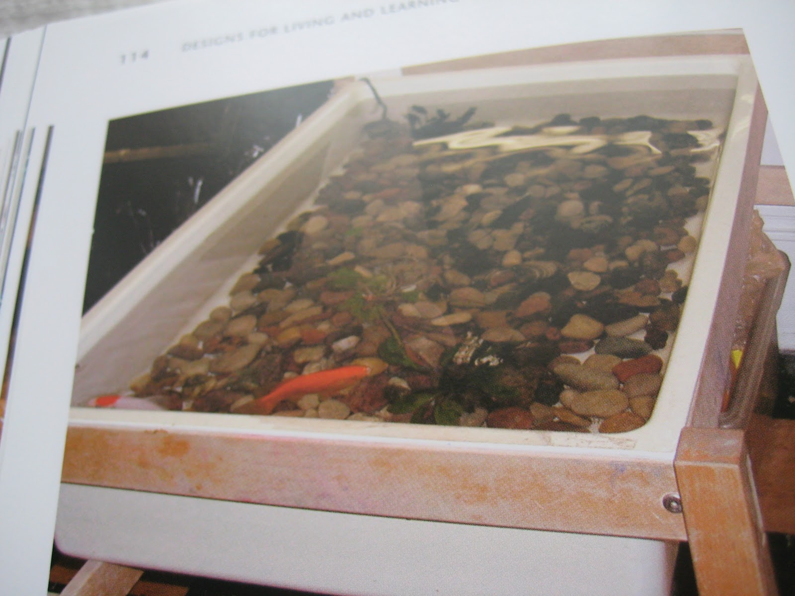 Bellelli Educación: Designs for Living and Learning: Transforming Early ...