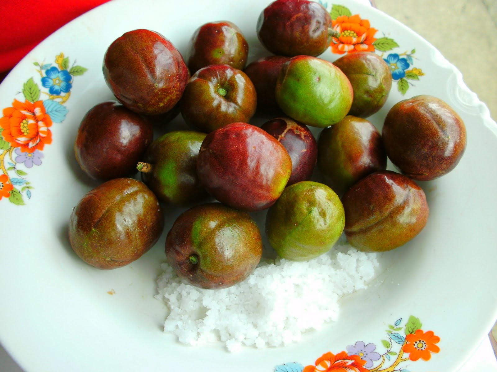 Siniguelas In English