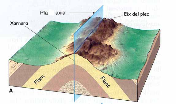 Ciències de la Terra 1: Parts d'un plec, i les seves característiques.