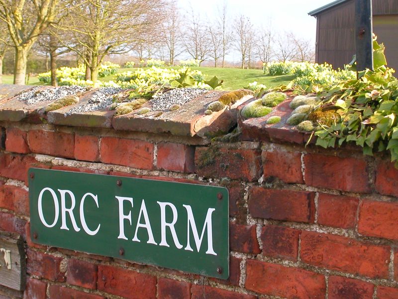 Carla Nayland Historical Fiction: Orc Farm