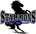 Football: Stallions Logo