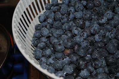 Creative Homesteading: Blueberry Juice Concentrate