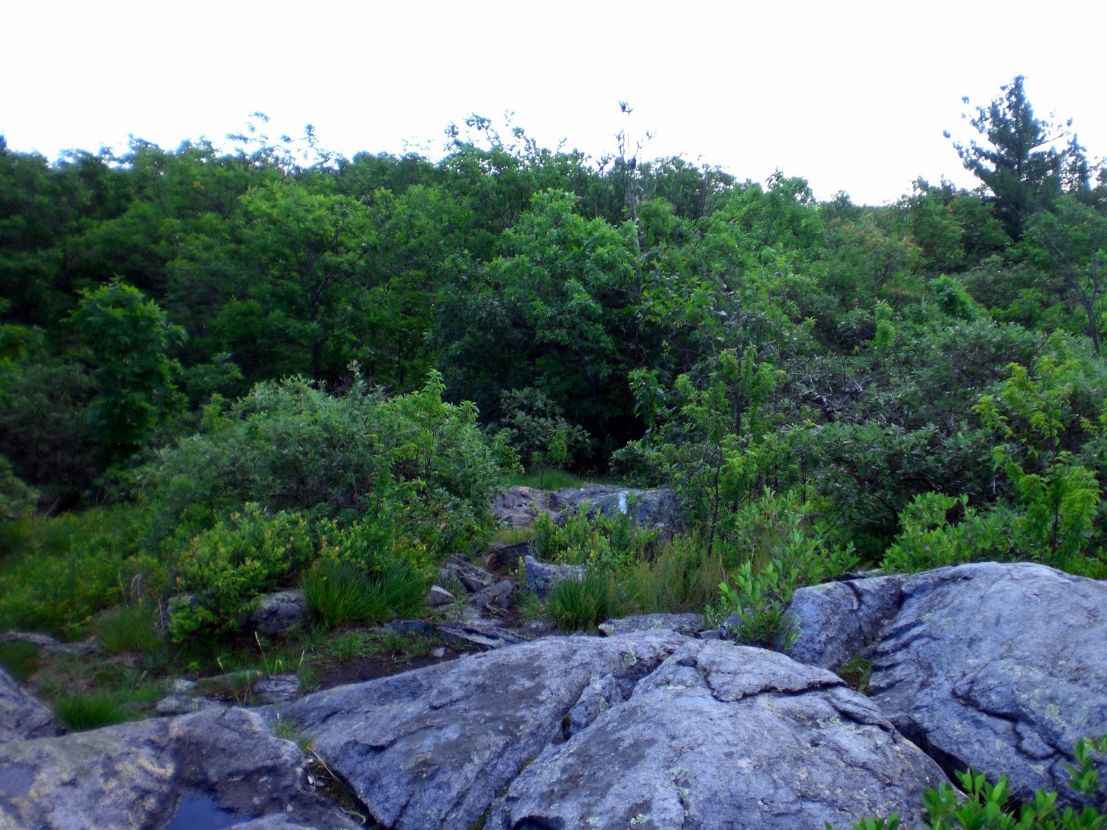 Breakheart Trail Running: Breakheart Hike