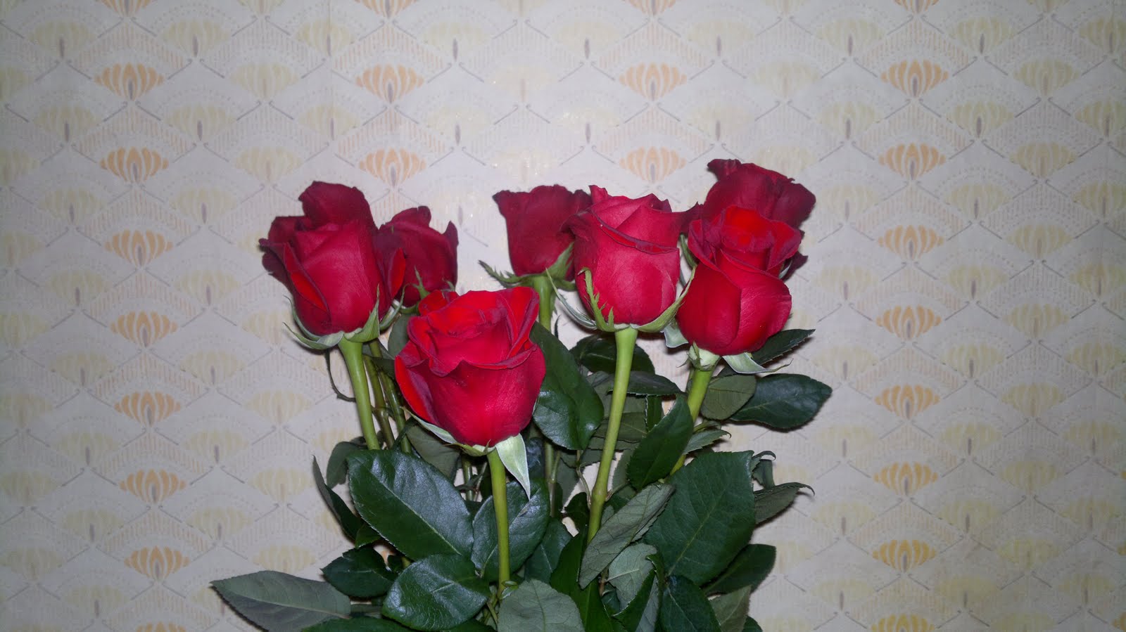 simo77: Sünnipäevaroosid