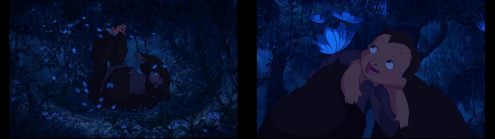 Baby Tarzan Butterfly