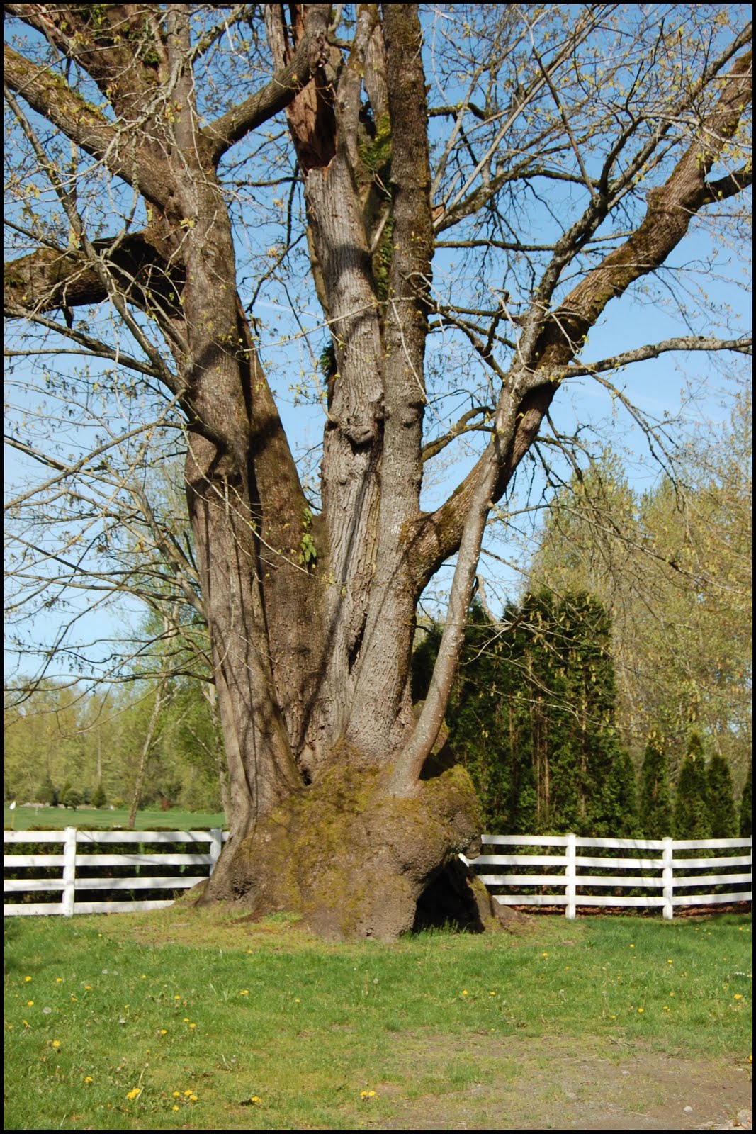 A View from the Edge: What a difference a day makes!