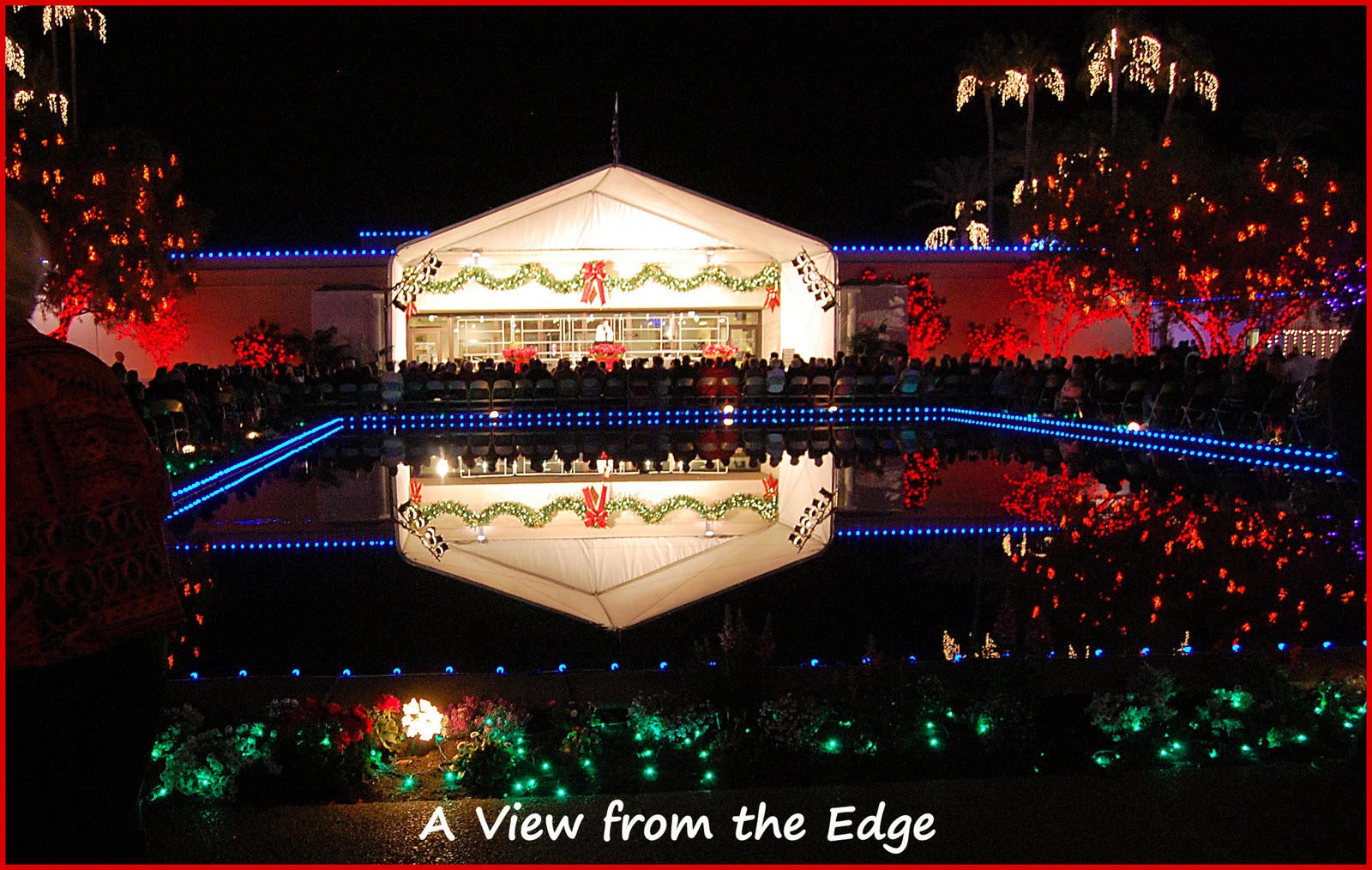 A View from the Edge: Weekend Reflections - Christmas Lights