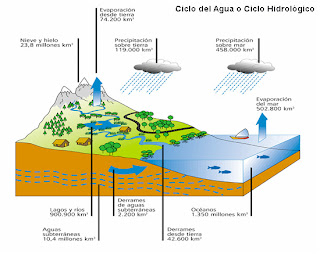 APRENDEMOS JUNTOS: EL AGUA