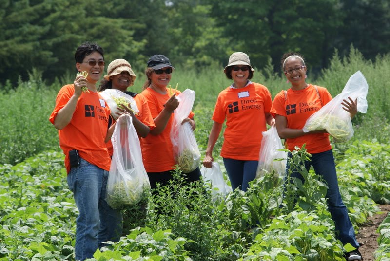 Community Harvest Ontario