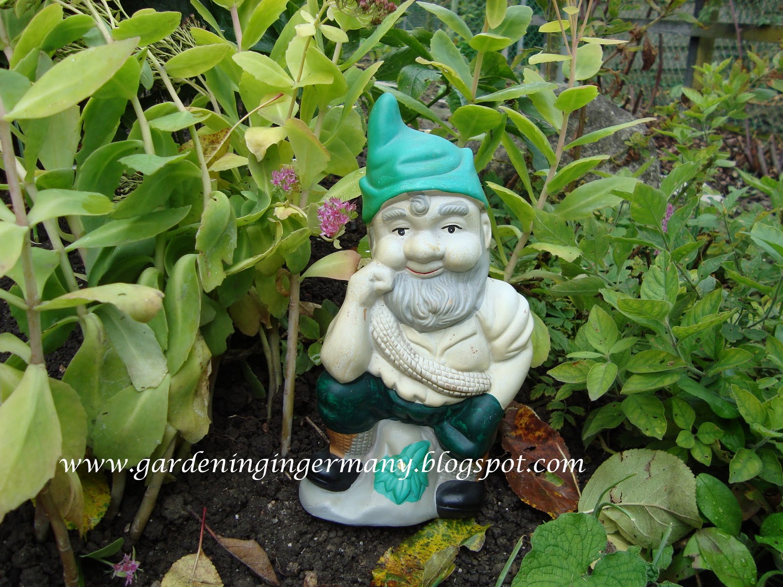 Gardening in Mannheim, Germany: A gnome's tale of discrimination and ...