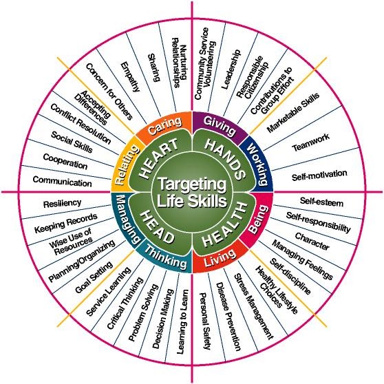 4 H Network News 4 H Life Skills Model