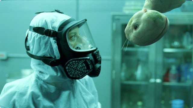 Fascination With Fear: Splice of life..