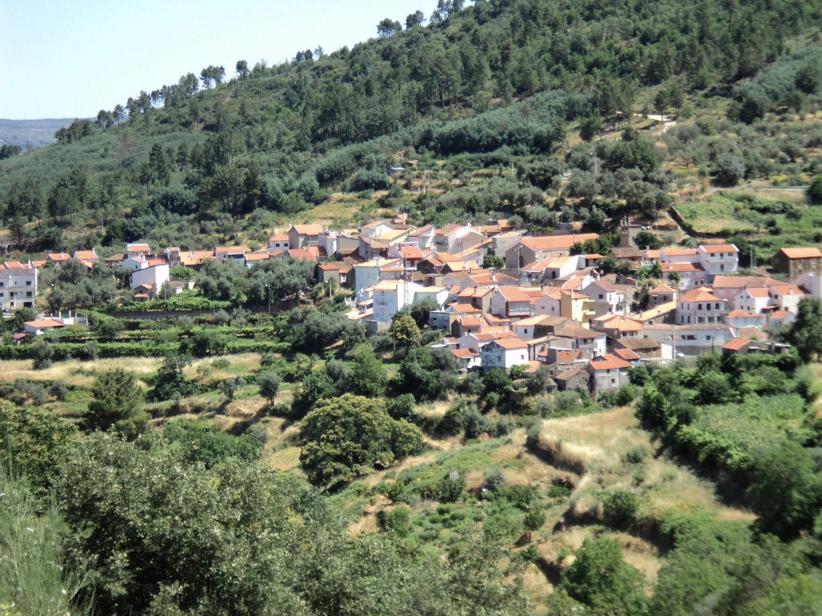 Gang Sarzedo: Sarzedo, lindo Sarzedo!!!