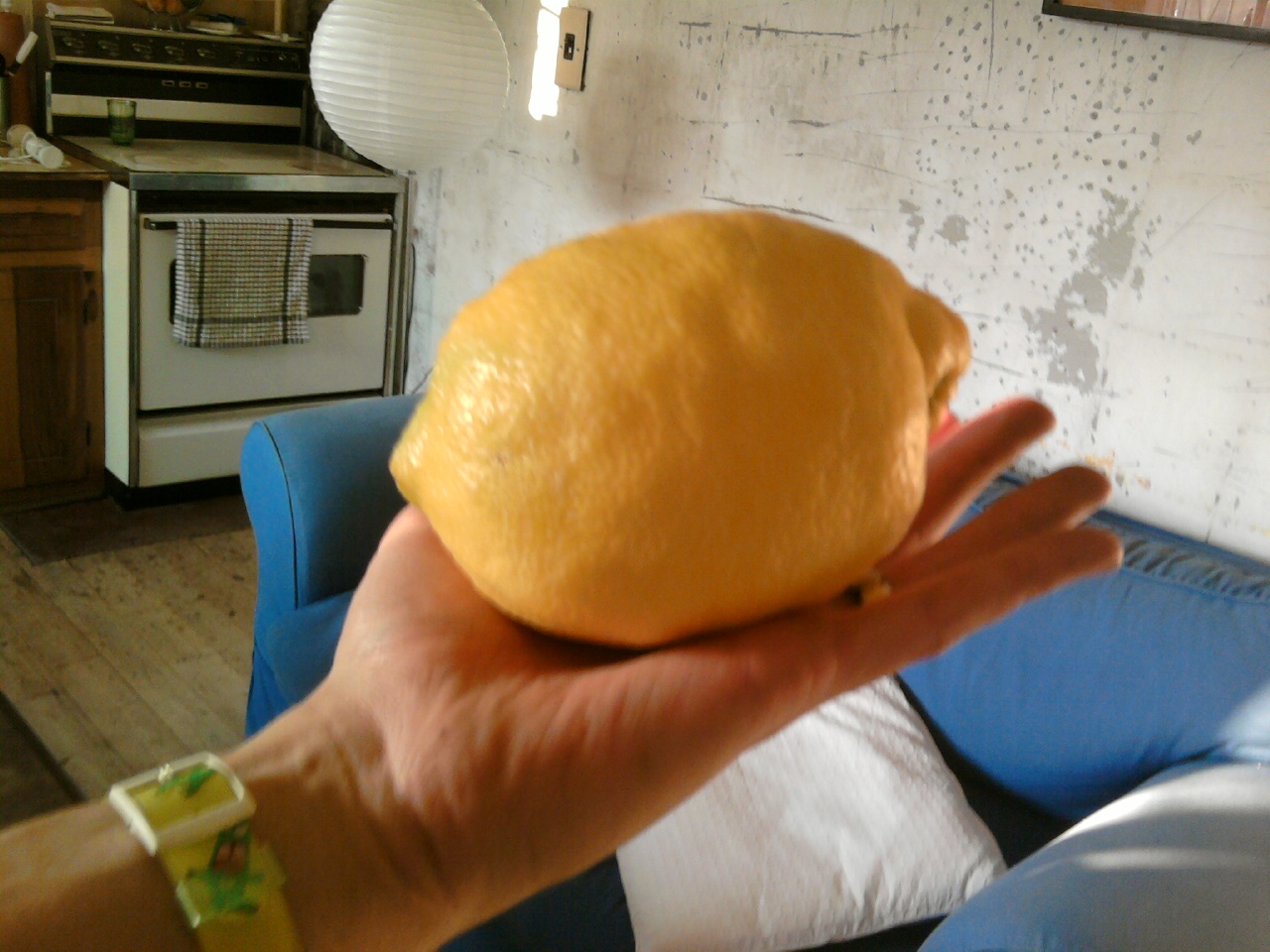 Stefelino: August 2010