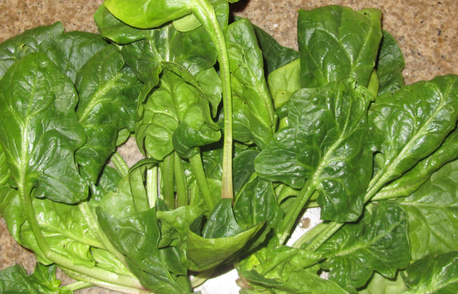 Mel's Kitchen Creations: I'm Strong To The Finish, 'Cause I Eats Me Spinach
