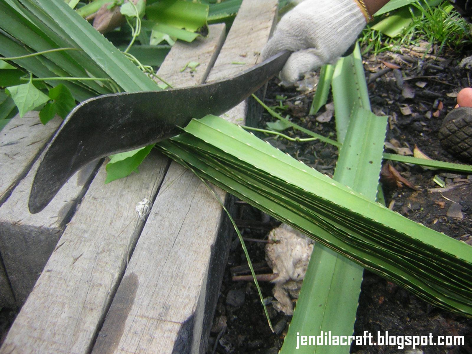 Mengkuang: Proses 2: Potong mengkuang