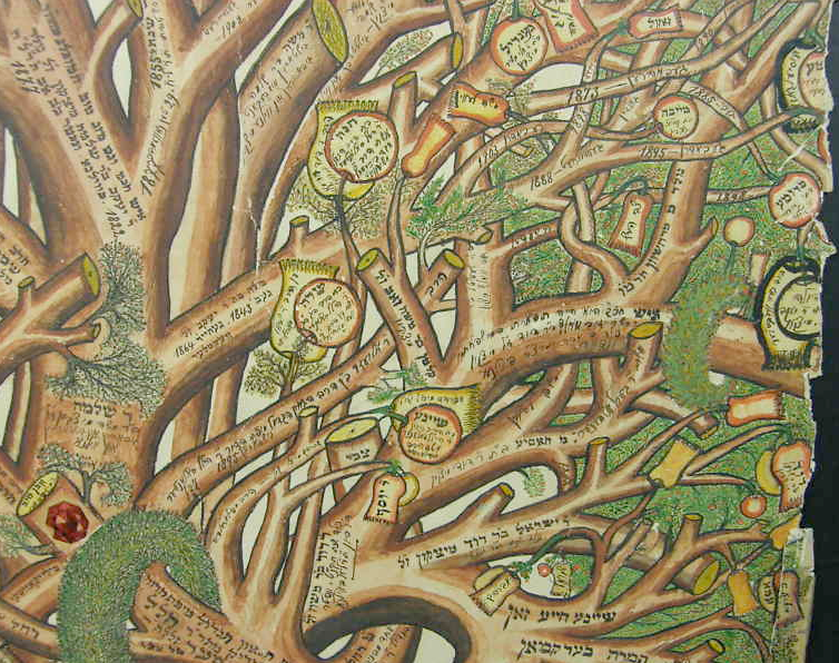 Anonymous Works: A Jewish Family Tree