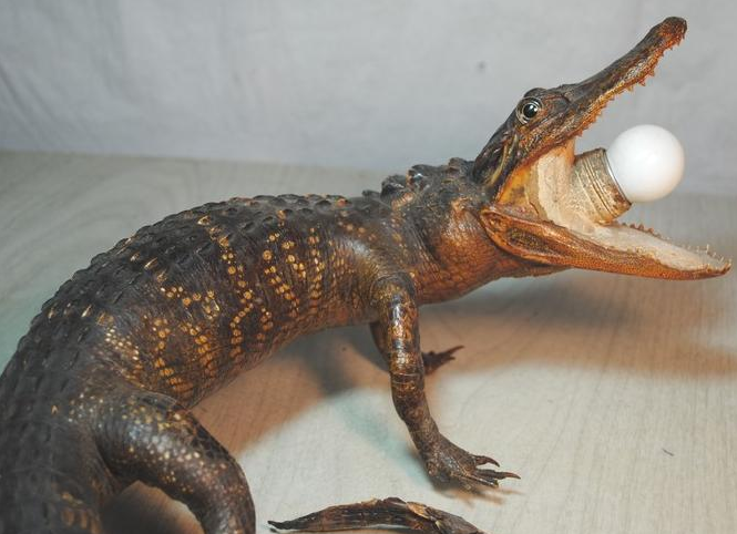 Anonymous Works: Circa 1920's Alligator Lamp