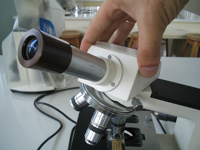 el Blog del Profe de Biolo: Partes del Microscopio óptico y su función