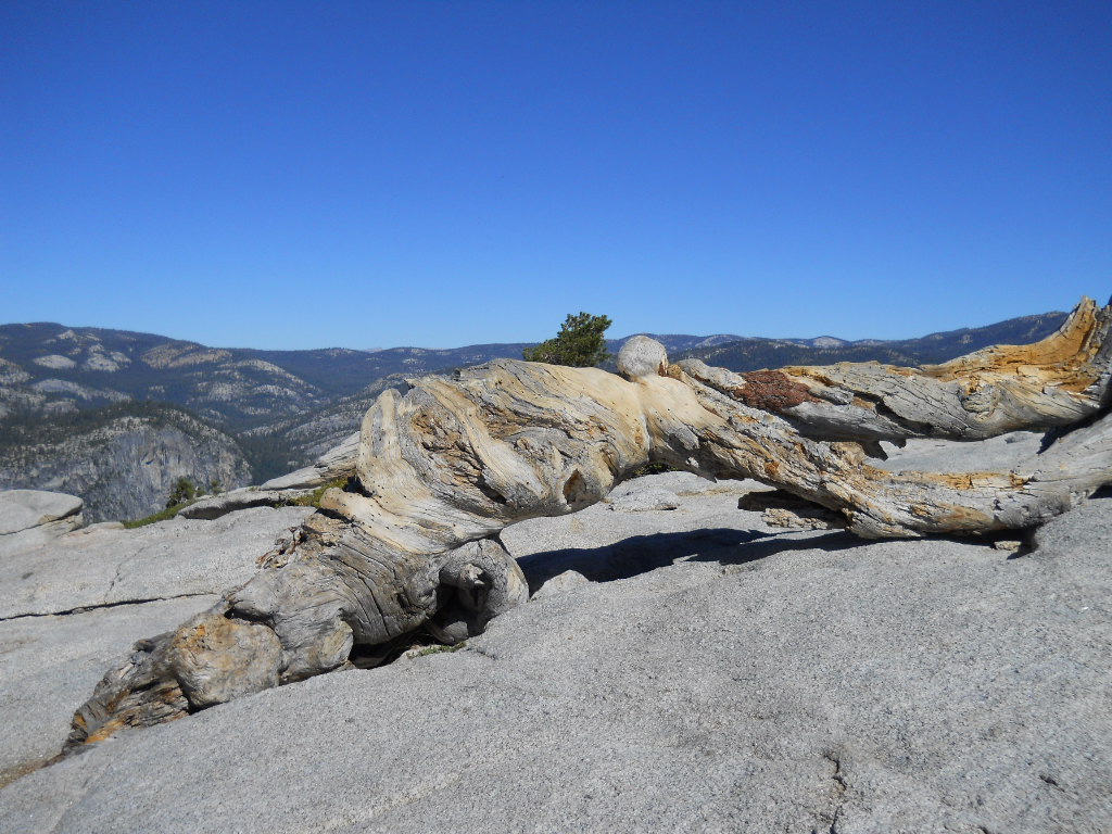 My 1200 Mile Summer: Yosemite's Sentinel Dome