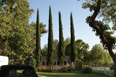 California 2009: Hummingbird Nest Ranch