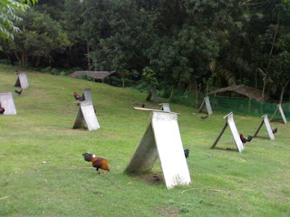 Team EbokAlaEh: EIA Gamefarm visit