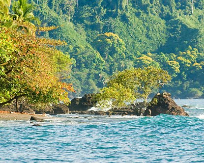 Live from Costa Rica: New Development Osa Peninsula