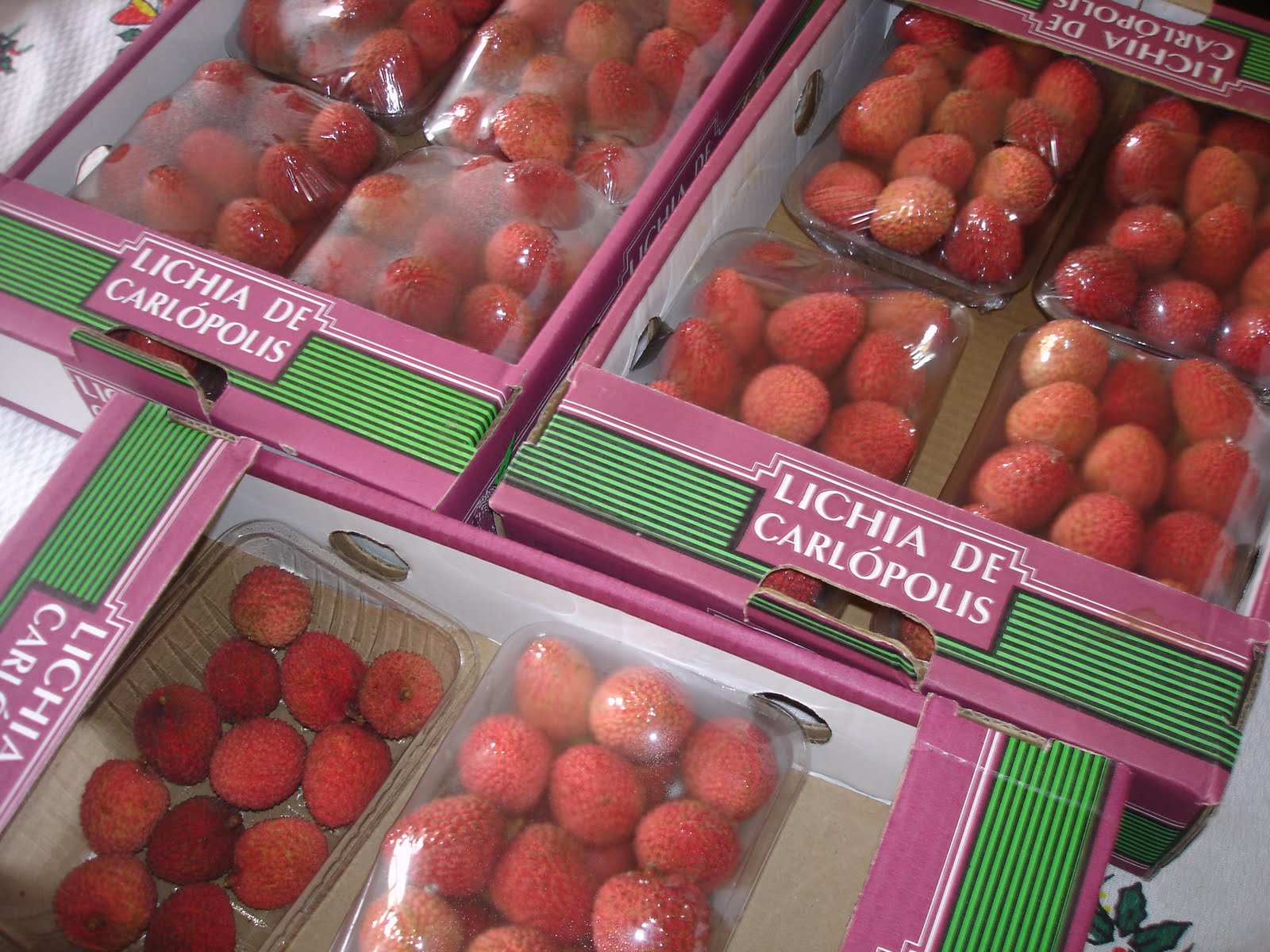 Conheça a lichia, a fruta top model! - Vivendo Bem Feliz