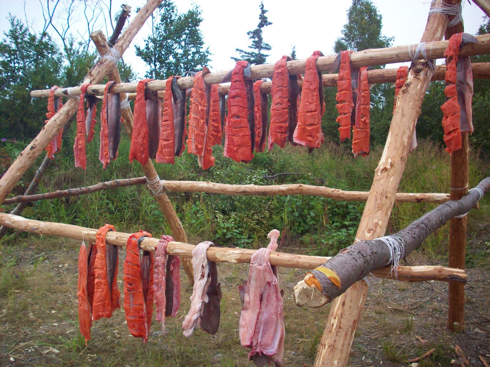 My Alaskan Adventure!