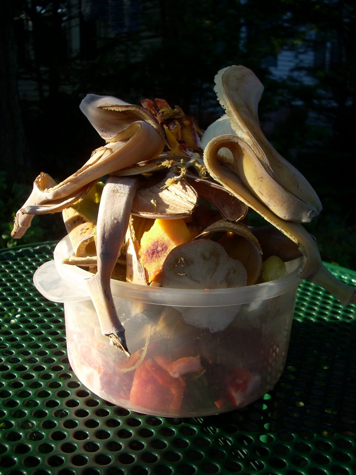 Miriam Levine: Still Life: Garbage