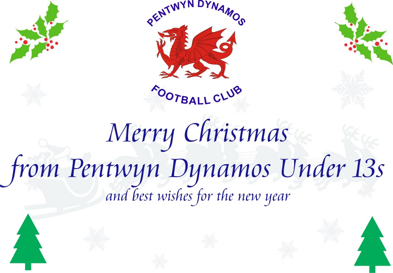 Pentwyn Dynamos Under 16s 2013/14: 2010