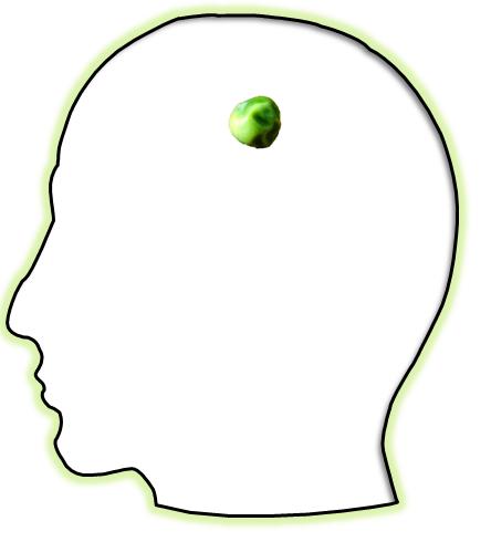 Real Tips For Real People - Tim Hein: There's no Pea in Brain