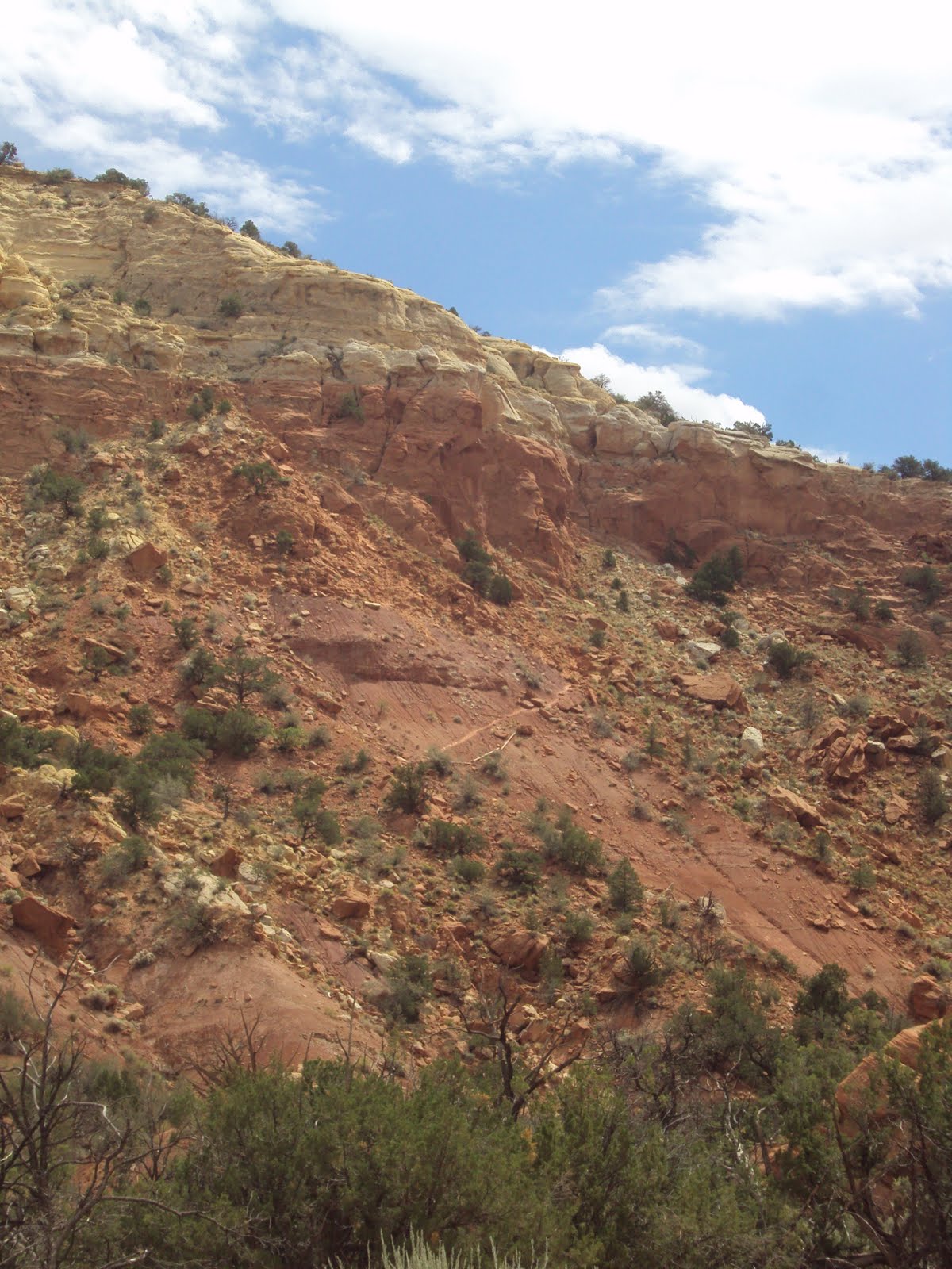 Jessica Rupert's Blog