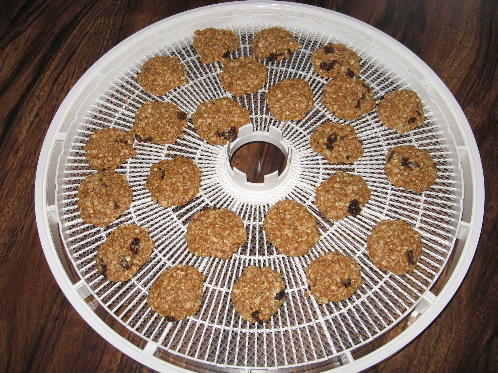 Journey To A More Simple And Greener Lifestyle: Dehydrator Oatmeal Cookies
