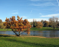 Photos of Hampstead Heath in Autumn