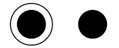 WHAT HUMANS DO: OPTICAL ILLUSIONS