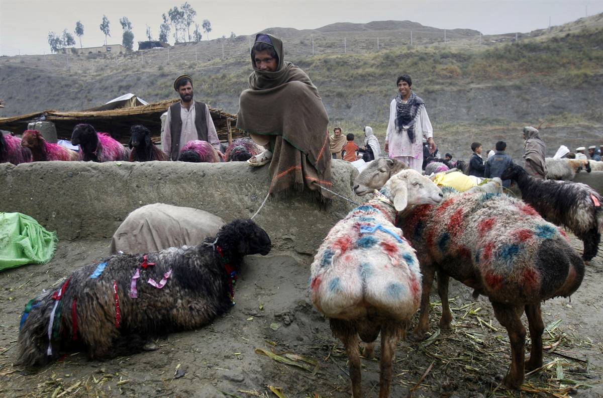 Just getting your attention: LIFE IN AFGHANISTAN