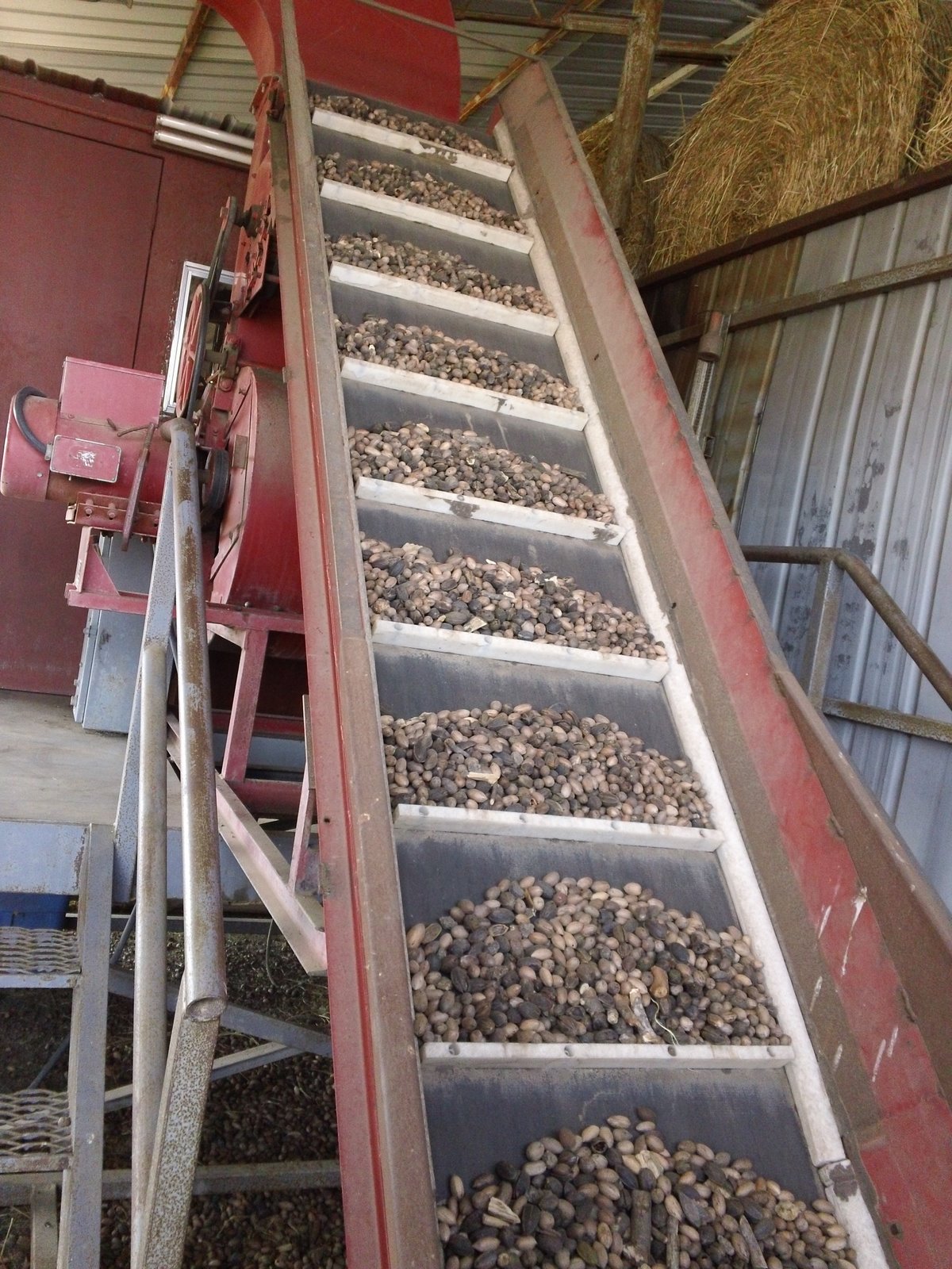 Our Treasured Home: Are you NUTS?!?!