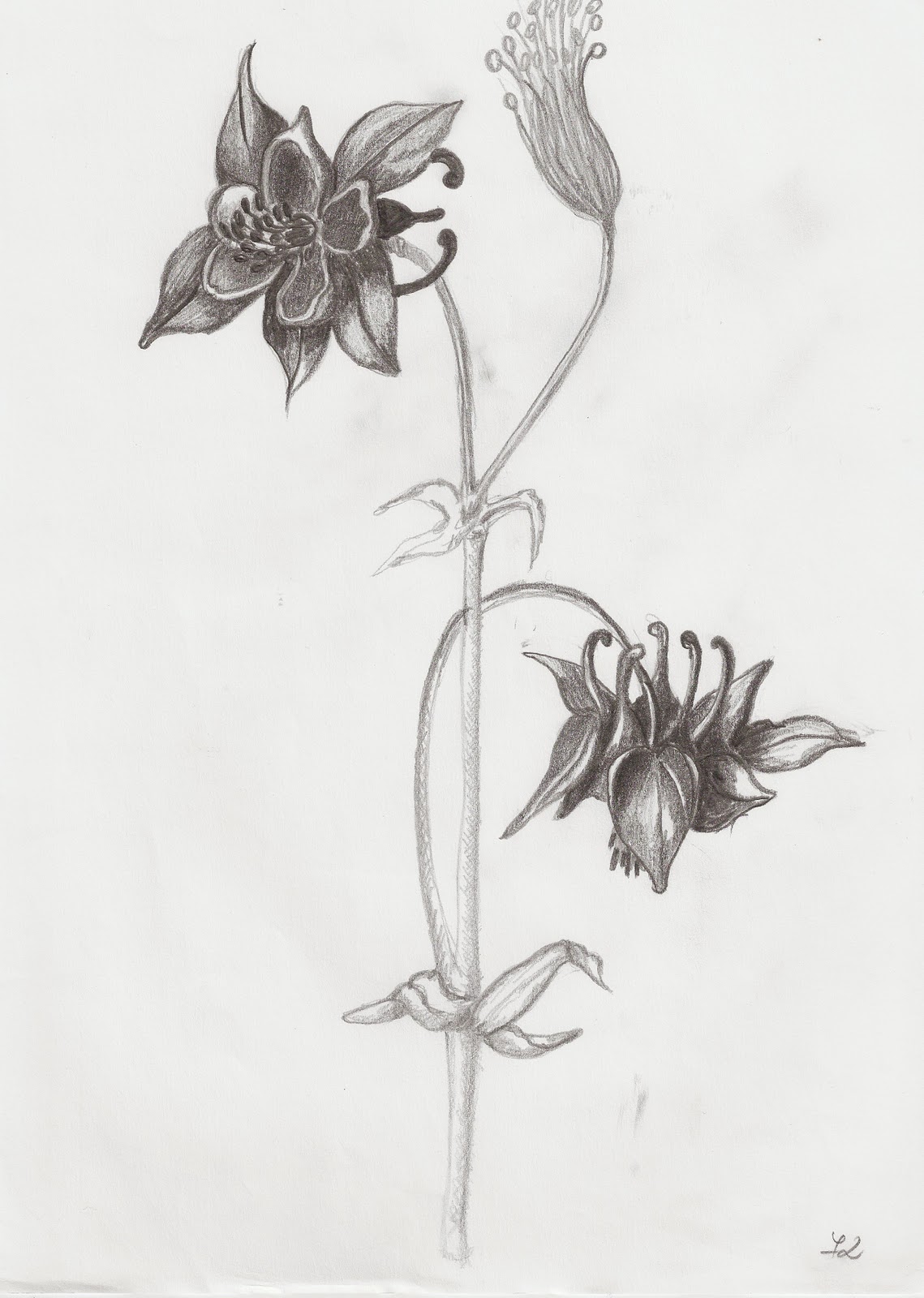 Hellen all Design: Desen creion-Flori