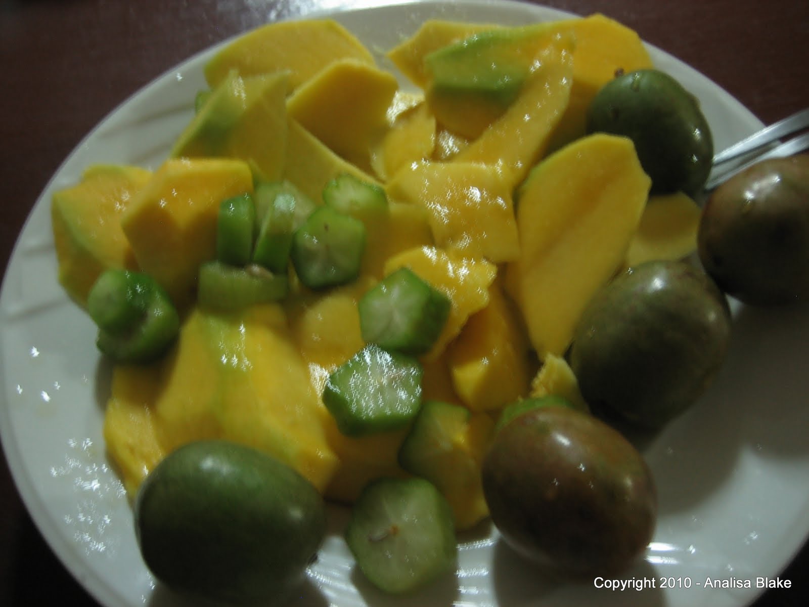 cubanicaragua: Chapter FOOD! Foods of Nicaragua