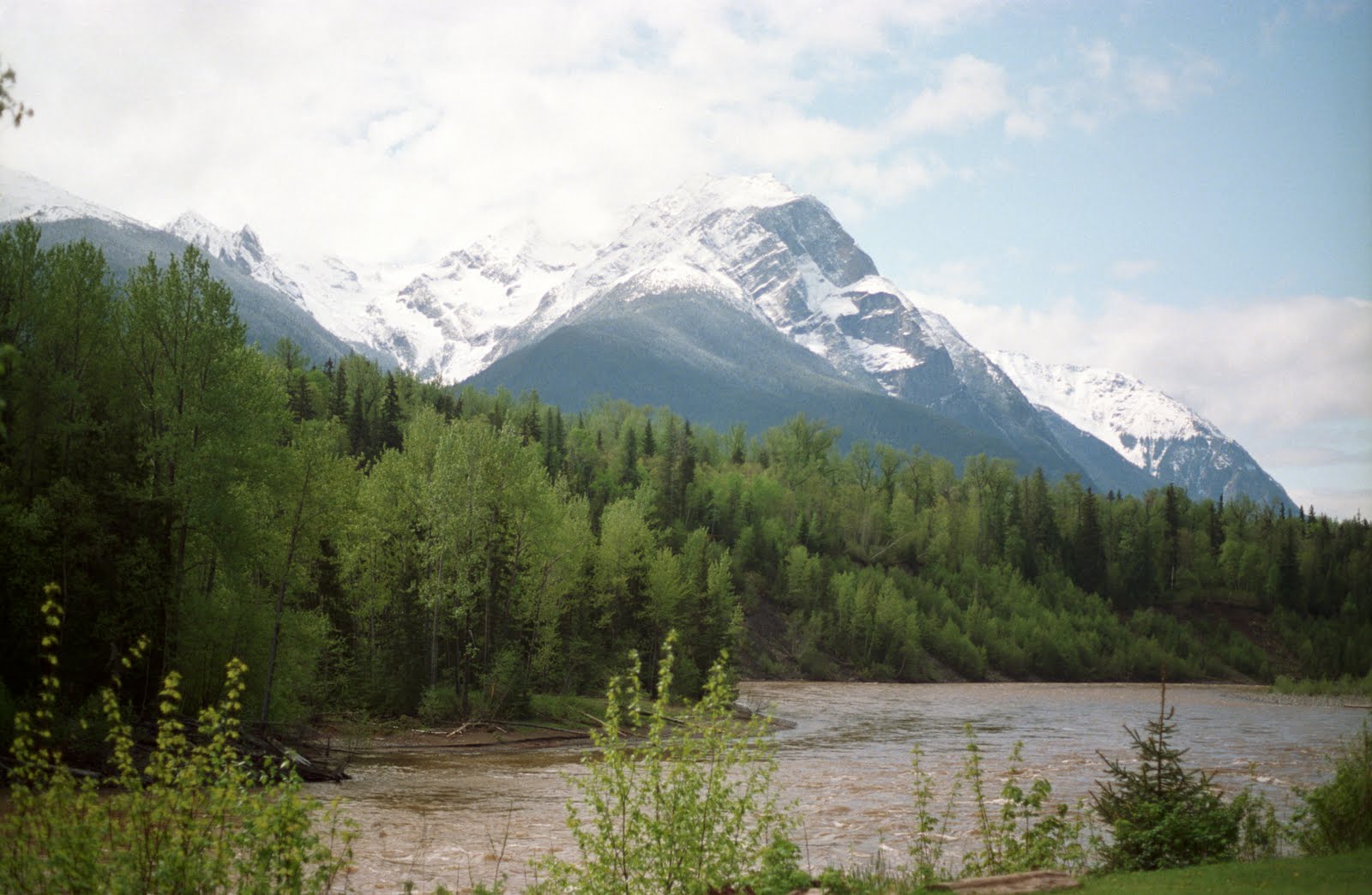 Reflections on Nature, Culture and Society: Of (Universal) Nature ...