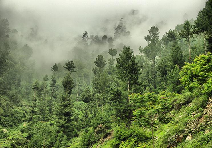 Muree. Pakistan | Pakistan Defence