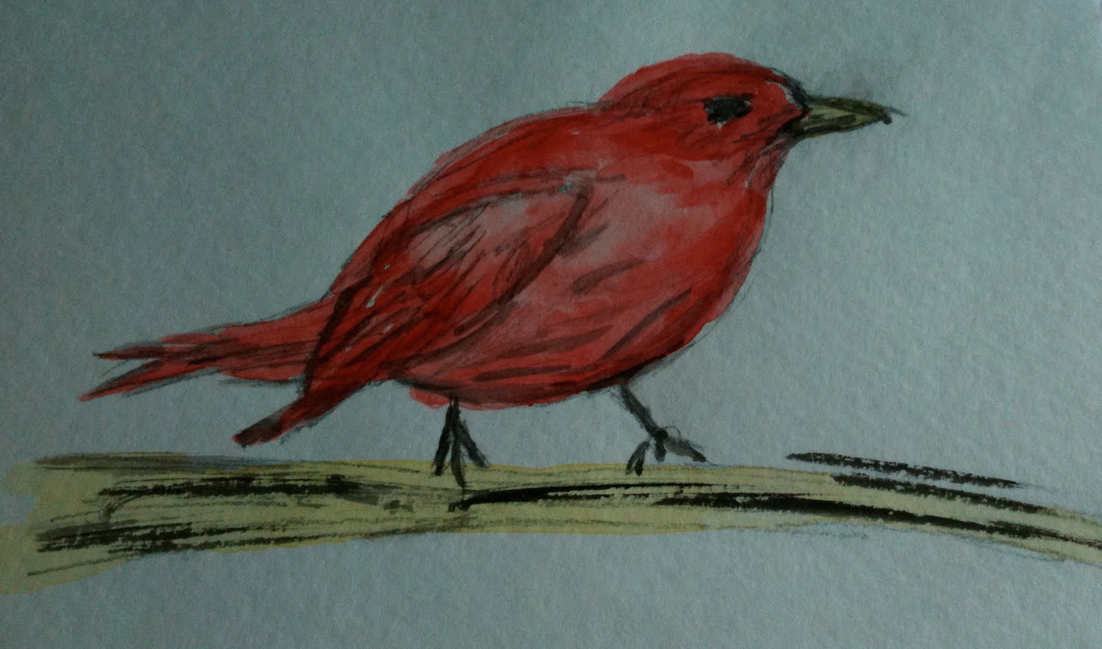cathy monetti's blog: Inspiration: Little Red Bird