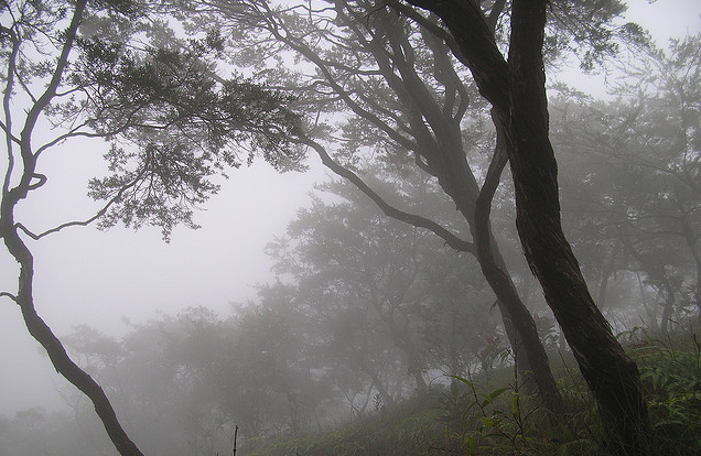 TERENGGANU... kelainan tercipta: Gunung Tebu