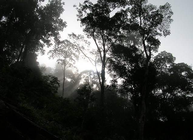 TERENGGANU... kelainan tercipta: Gunung Tebu